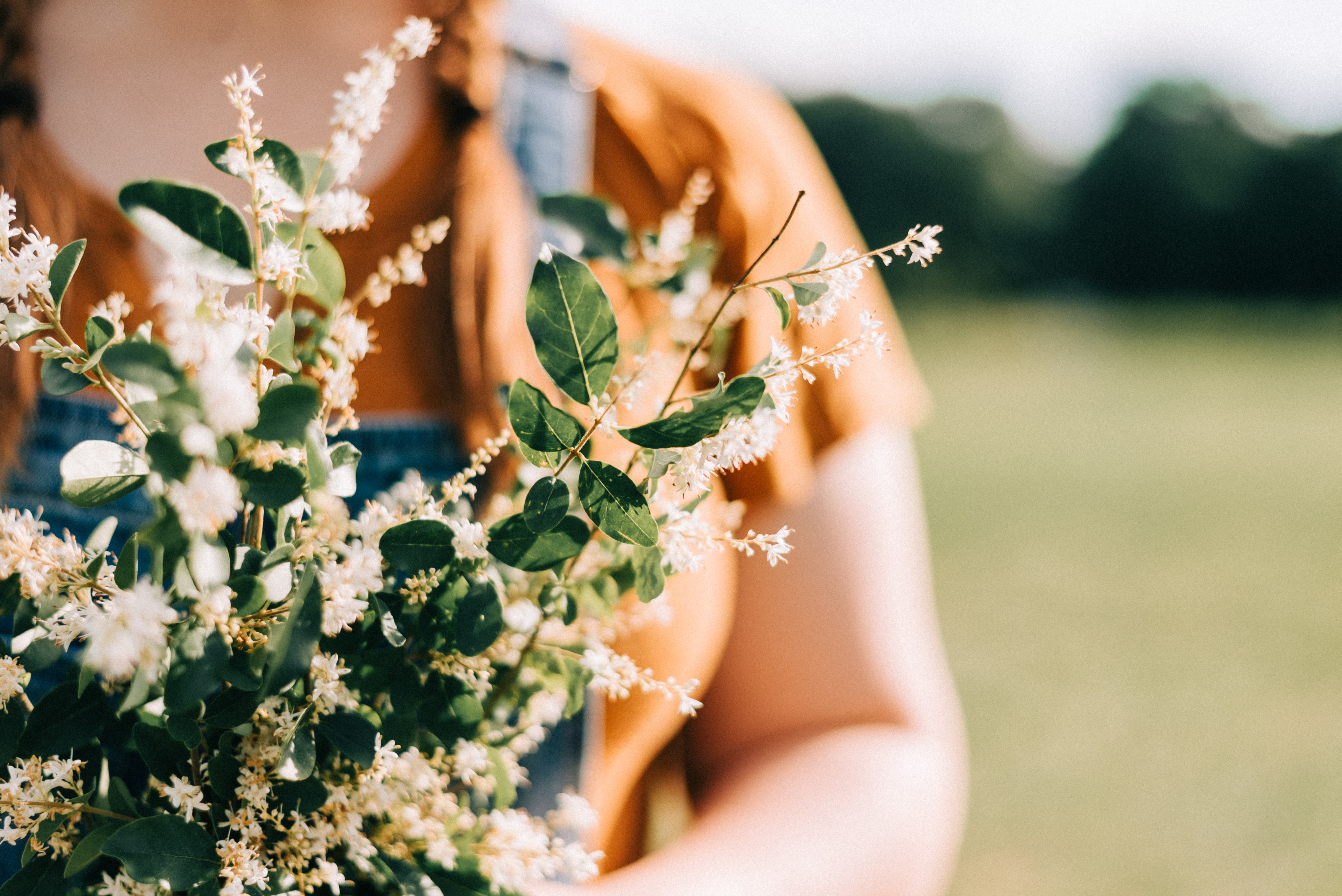 About us – Foxlight Flower Farm