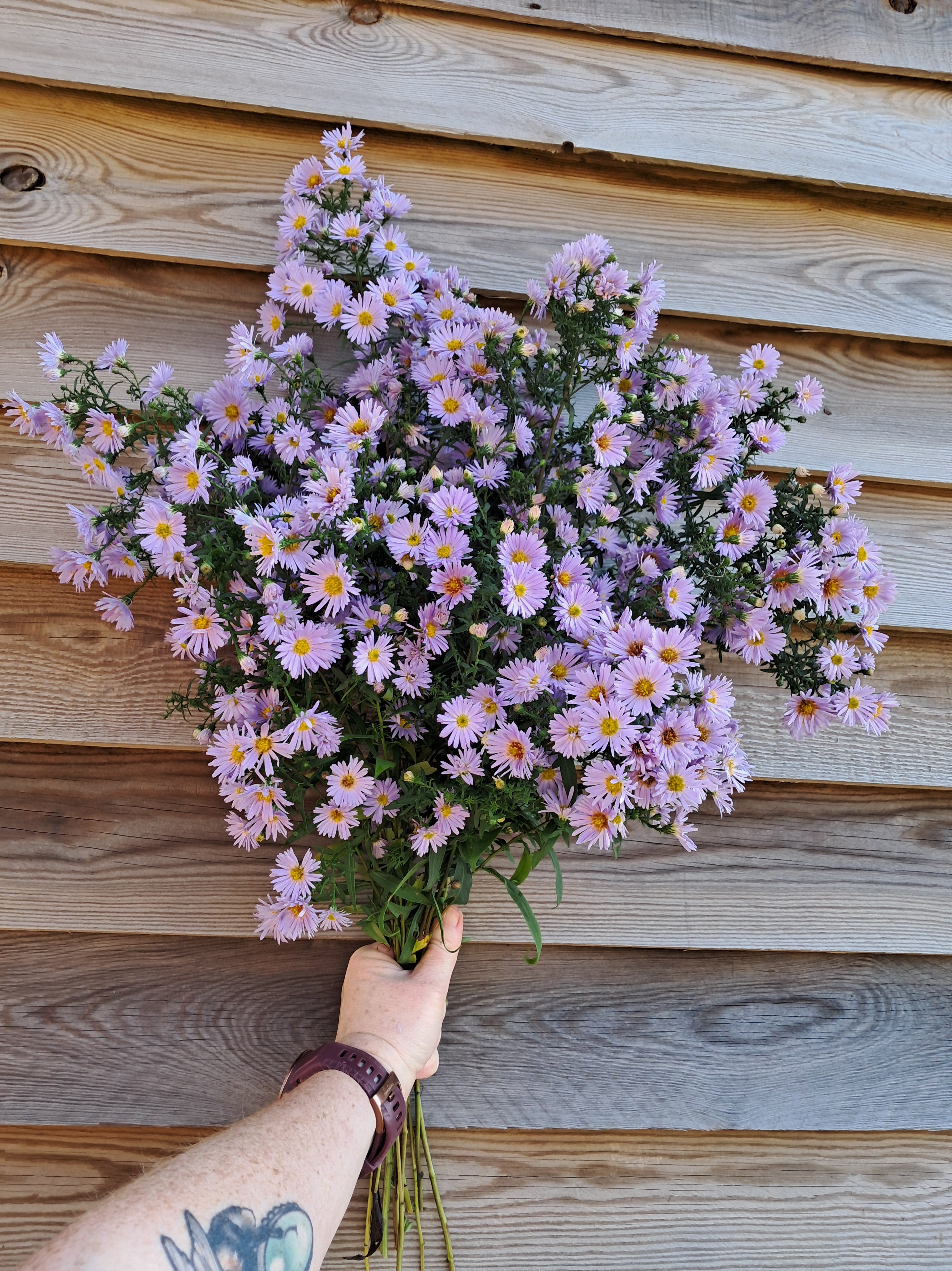 Florists – Foxlight Flower Farm